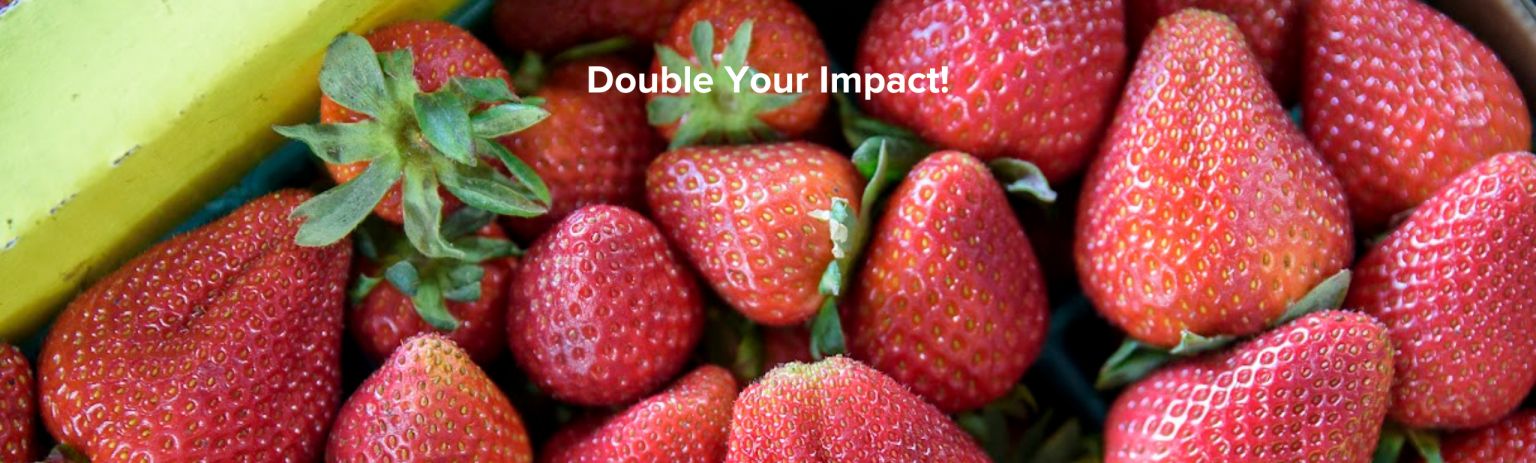 Homepage | Berkeley Food Network
