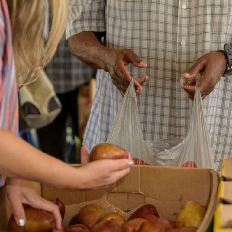 Homepage | Berkeley Food Network