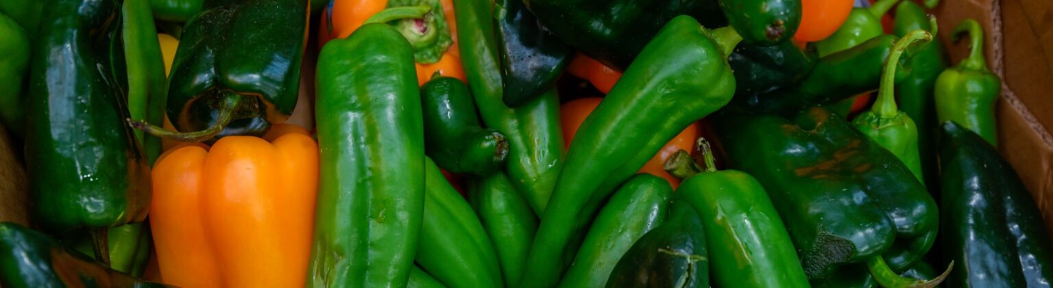 Homepage | Berkeley Food Network